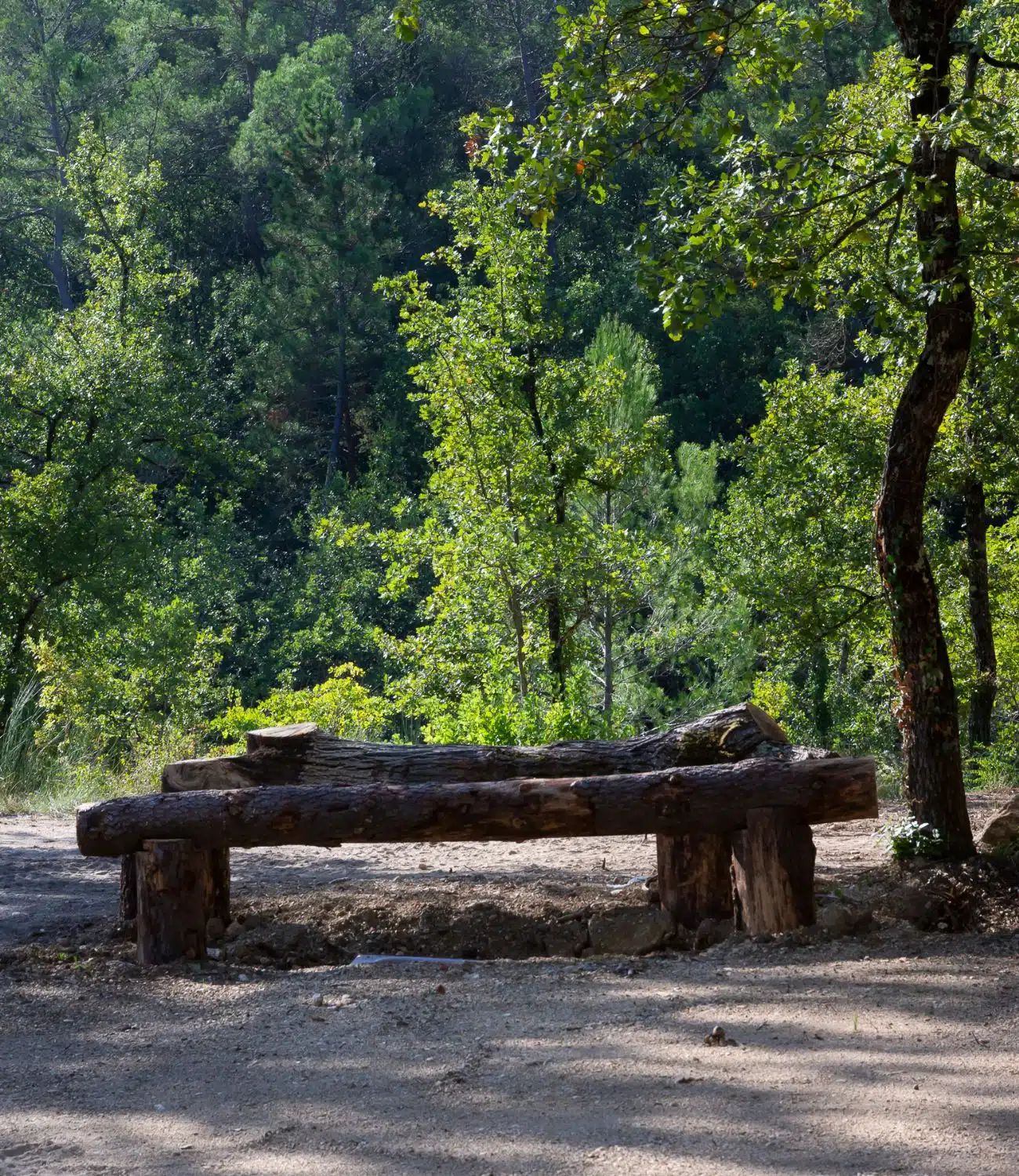 Parcours d'obstacles d'équitation à la location (83)